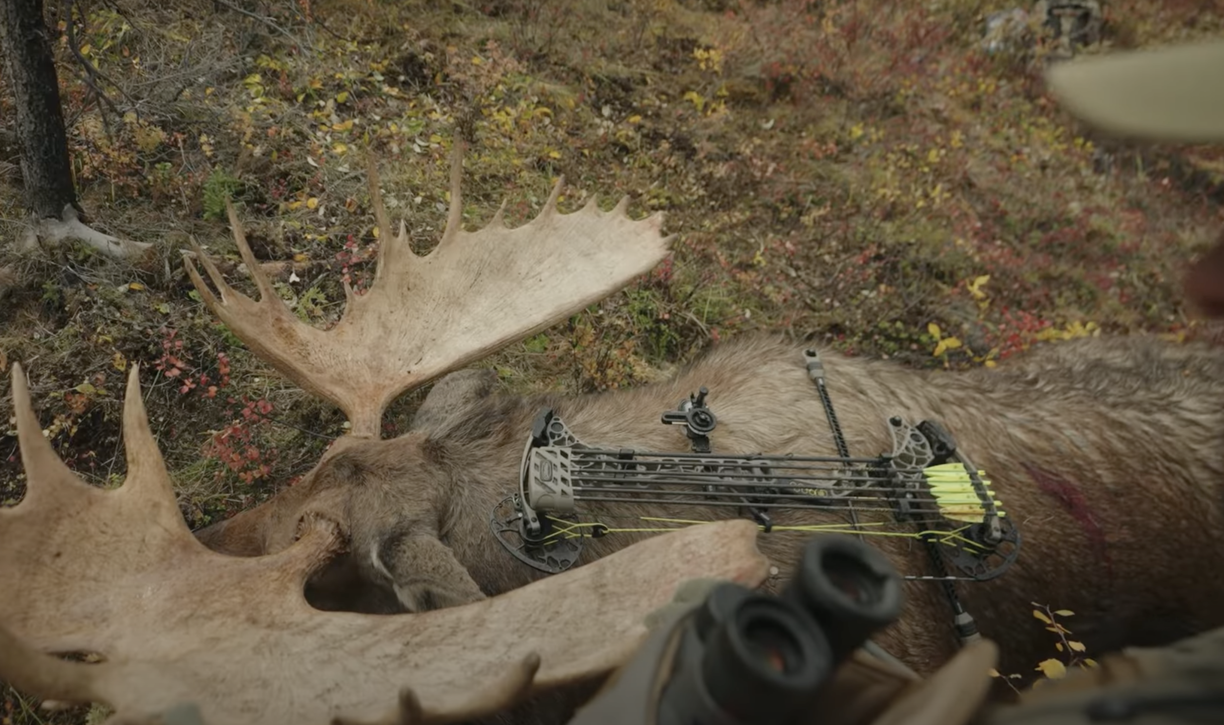 Mathews Phase 4 Review | Outdoor Life