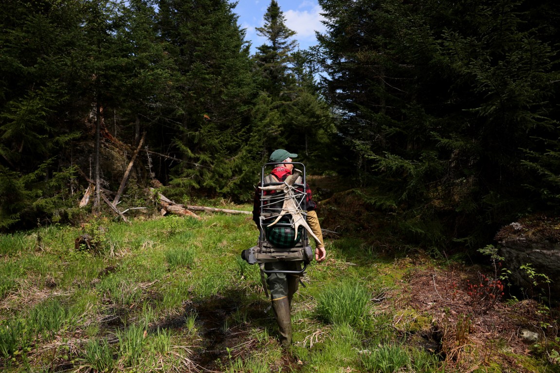 Thieves Are Stealing Antlers and Racks from Hunters Out West
