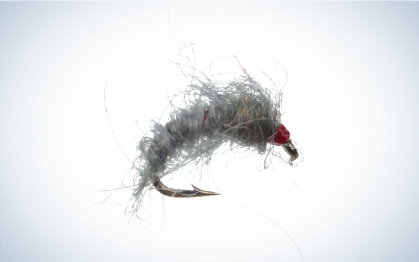 The 4 Best Winter Trout Flies | Outdoor Life