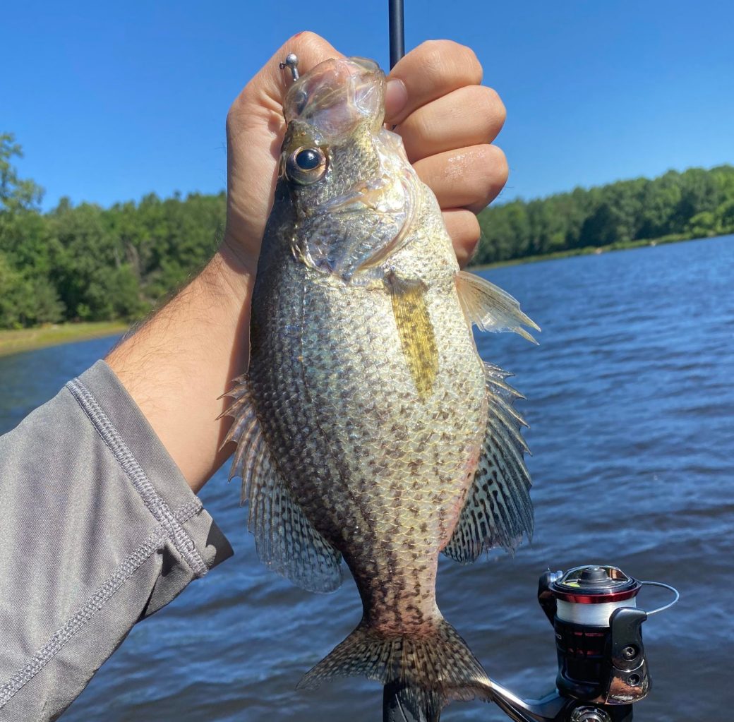 The Best Crappie Lures: Proven Baits for Catching Slabs from Spring to Fall