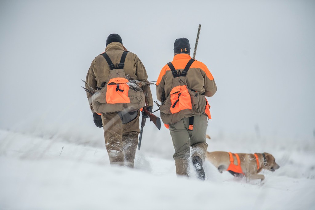 Upland Bird Hunting | Outdoor Life