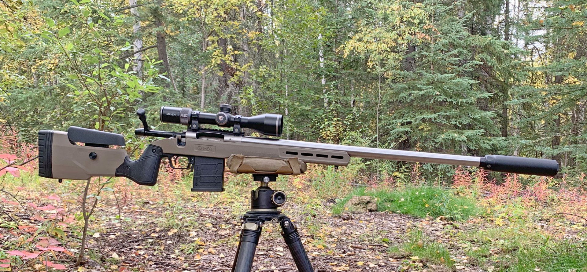 Best .308 Ammo for Hunting, Tested and Reviewed | Outdoor Life