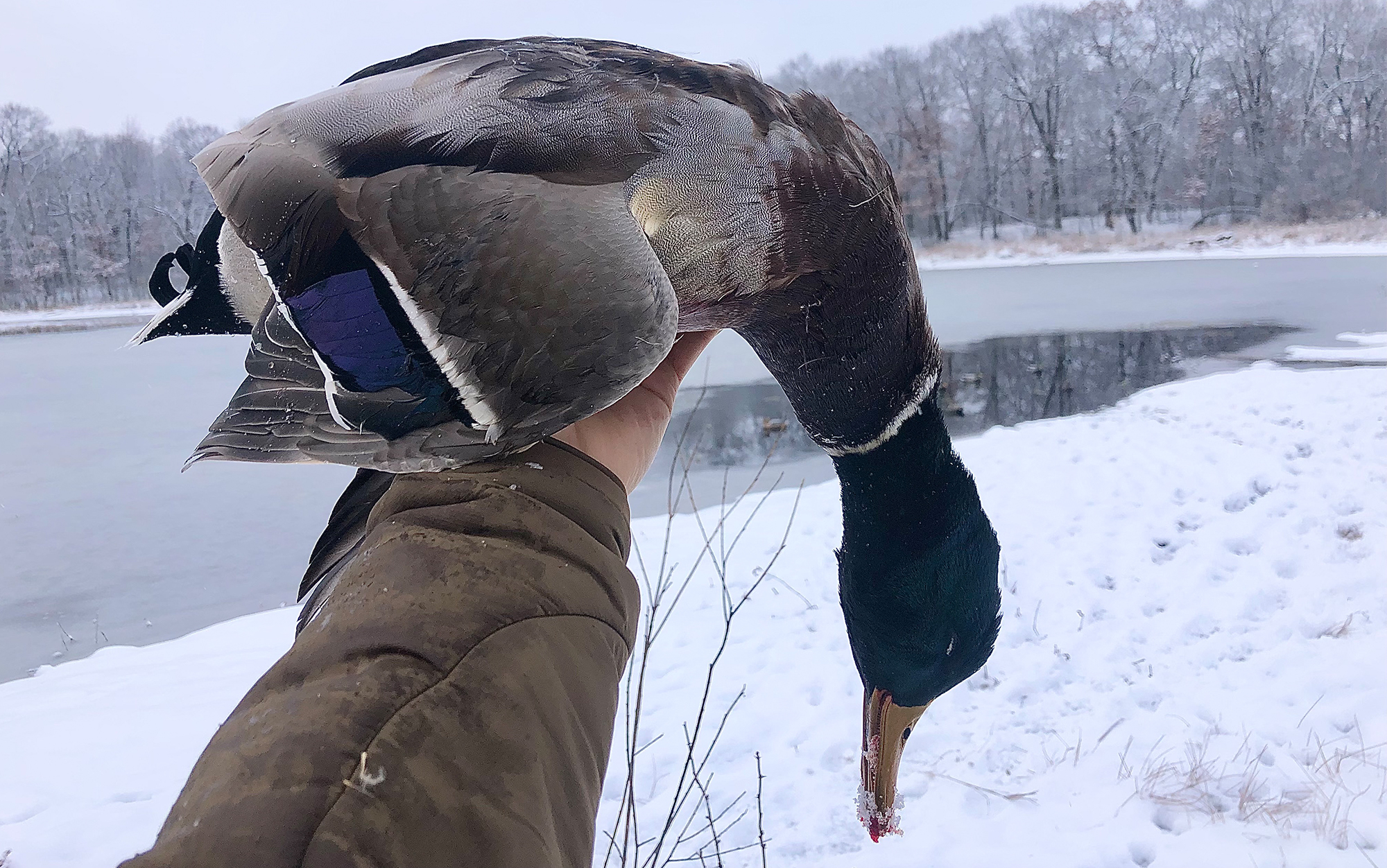 Best Duck Calls for Beginners | Outdoor Life