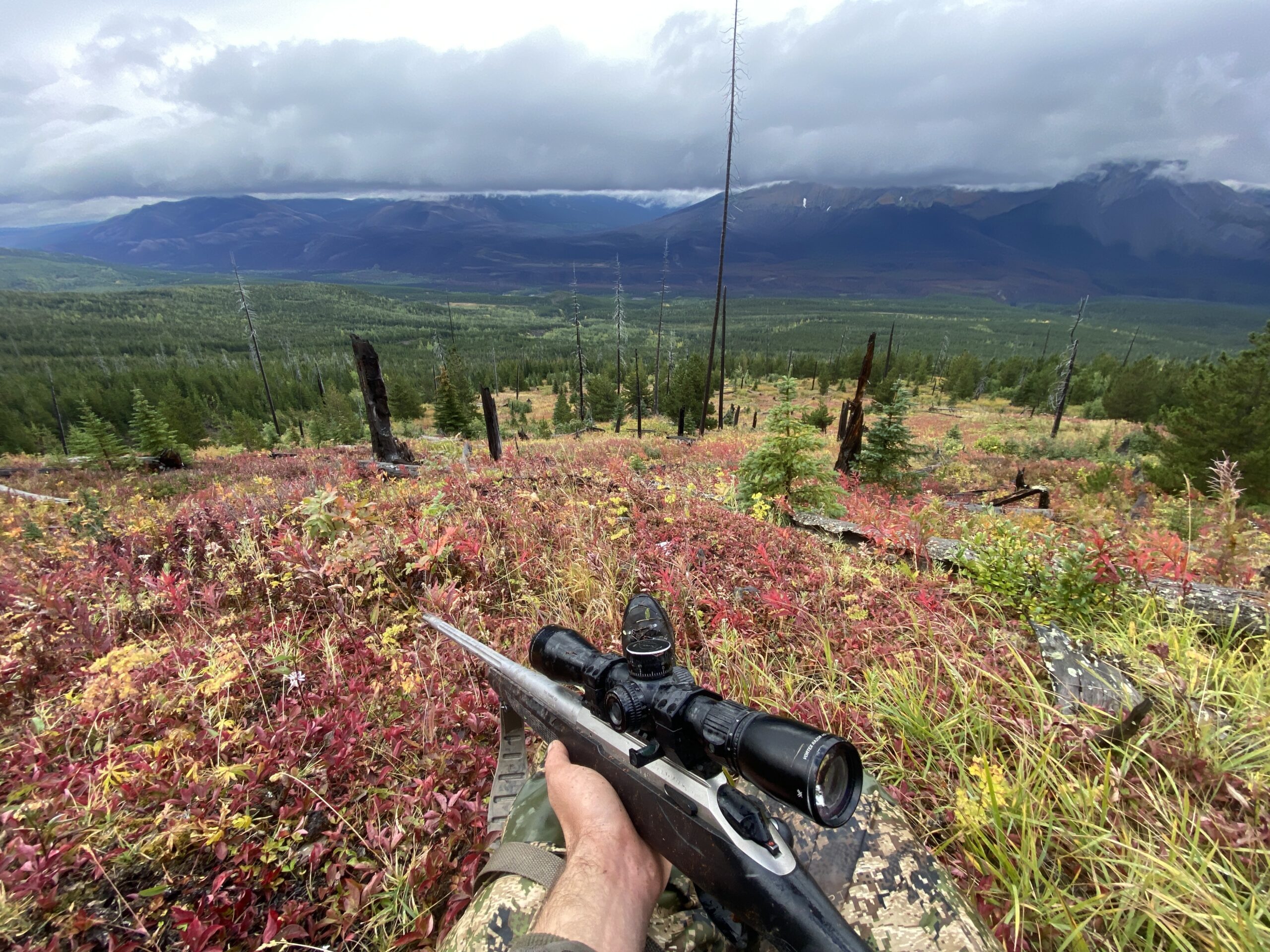 Vortex Razor HD LHT Review | Outdoor Life