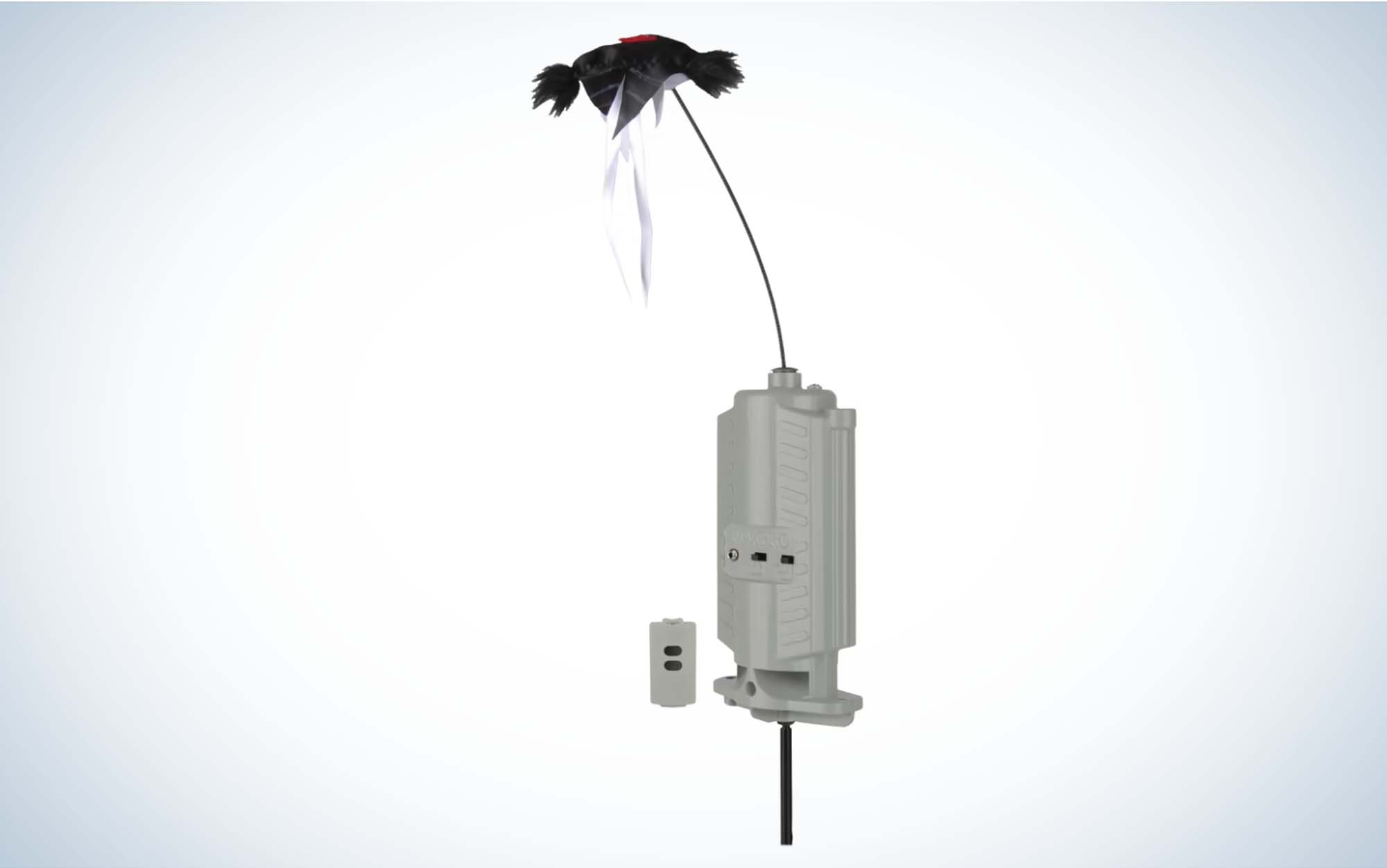 Coyote Hunting Gear: Everything You Need to Get Started | Outdoor Life