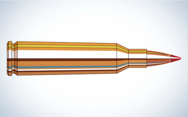 Best Coyote Calibers | Outdoor Life