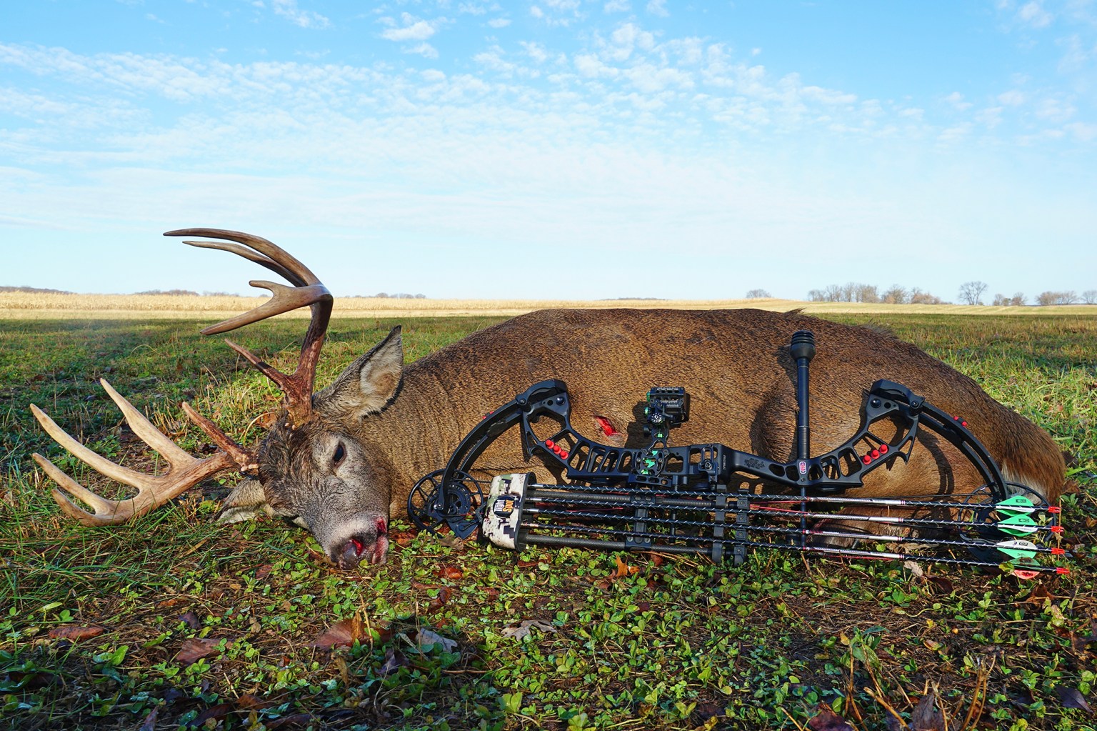 Why Mechanical Broadheads Are Still the Best Option for Most Deer ...