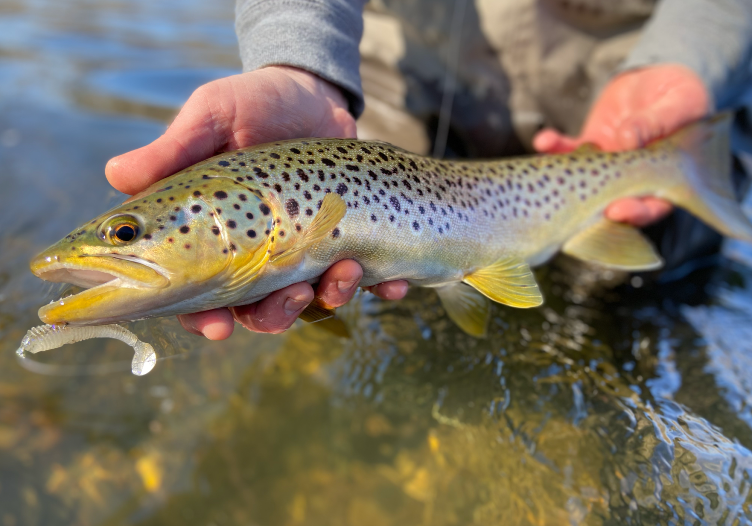 How to Catch Trout on Soft Plastics | Outdoor Life