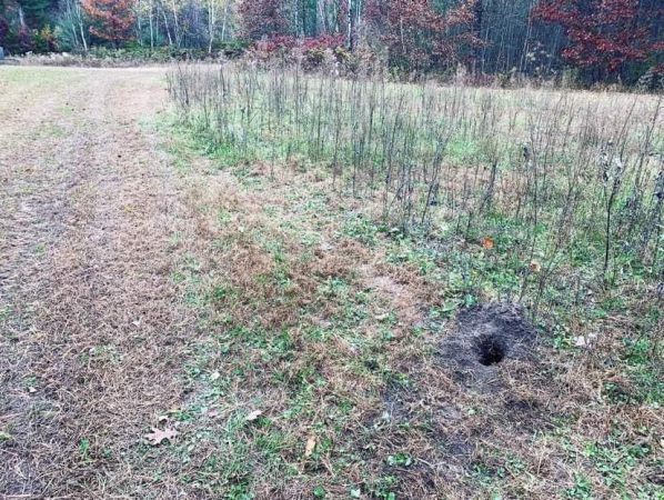 How to Trap Coyotes | Outdoor Life