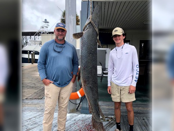 Nearly 300-Pound Alligator Gar Should Break World Record | Outdoor Life