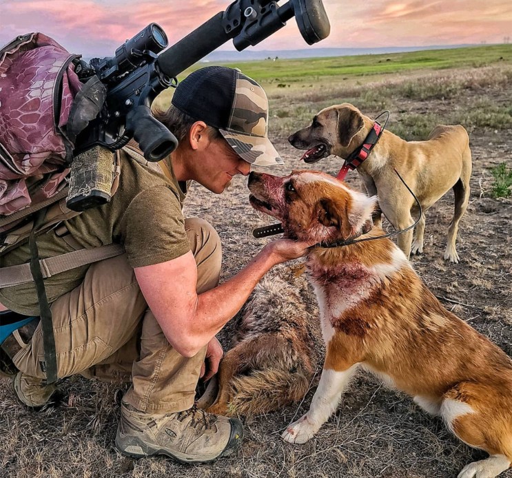 How Coyote Hunting Dogs Decoy In Predators | Outdoor Life