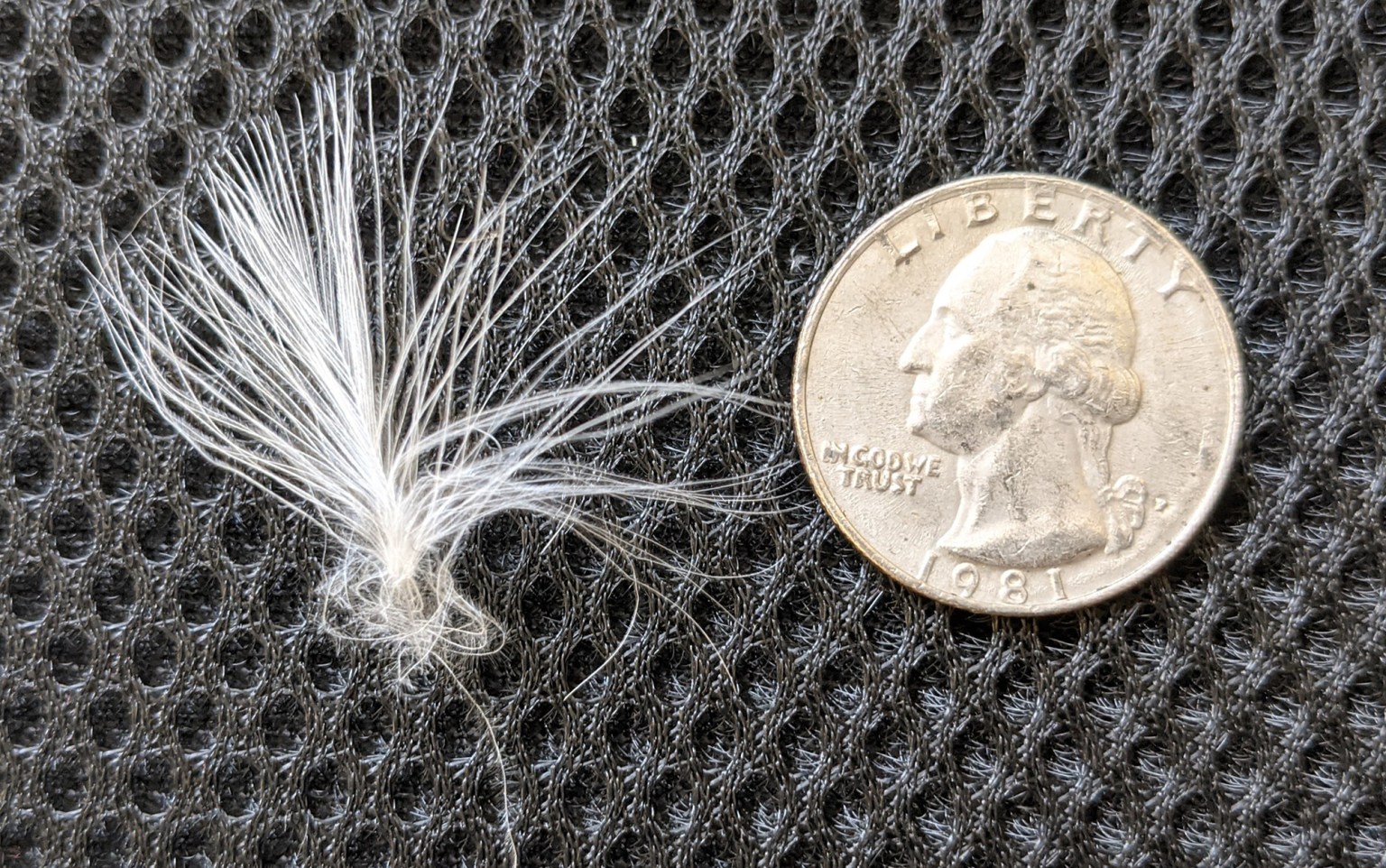 Crazy Levity Review | Outdoor Life