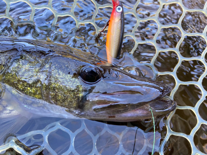 Winter Fishing Tips & Tactics | Outdoor Life
