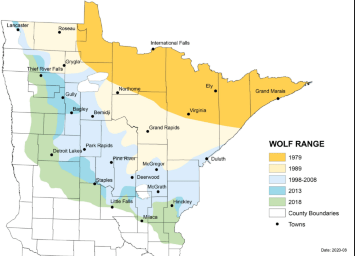Wolf Hunting in Minnesota Isn't Happening Anytime Soon