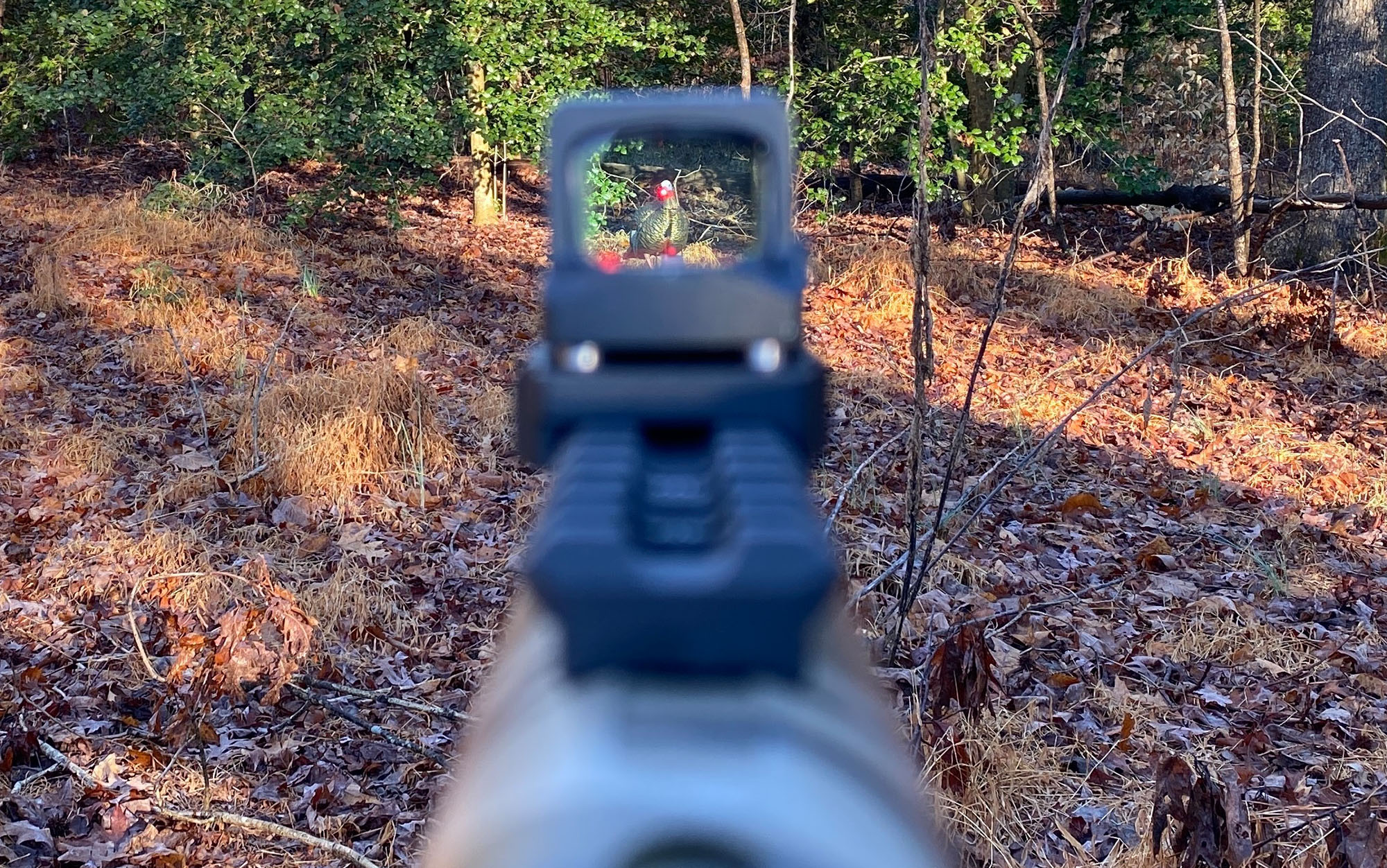 Best Red Dots for Turkey Hunting of 2023 | Outdoor Life
