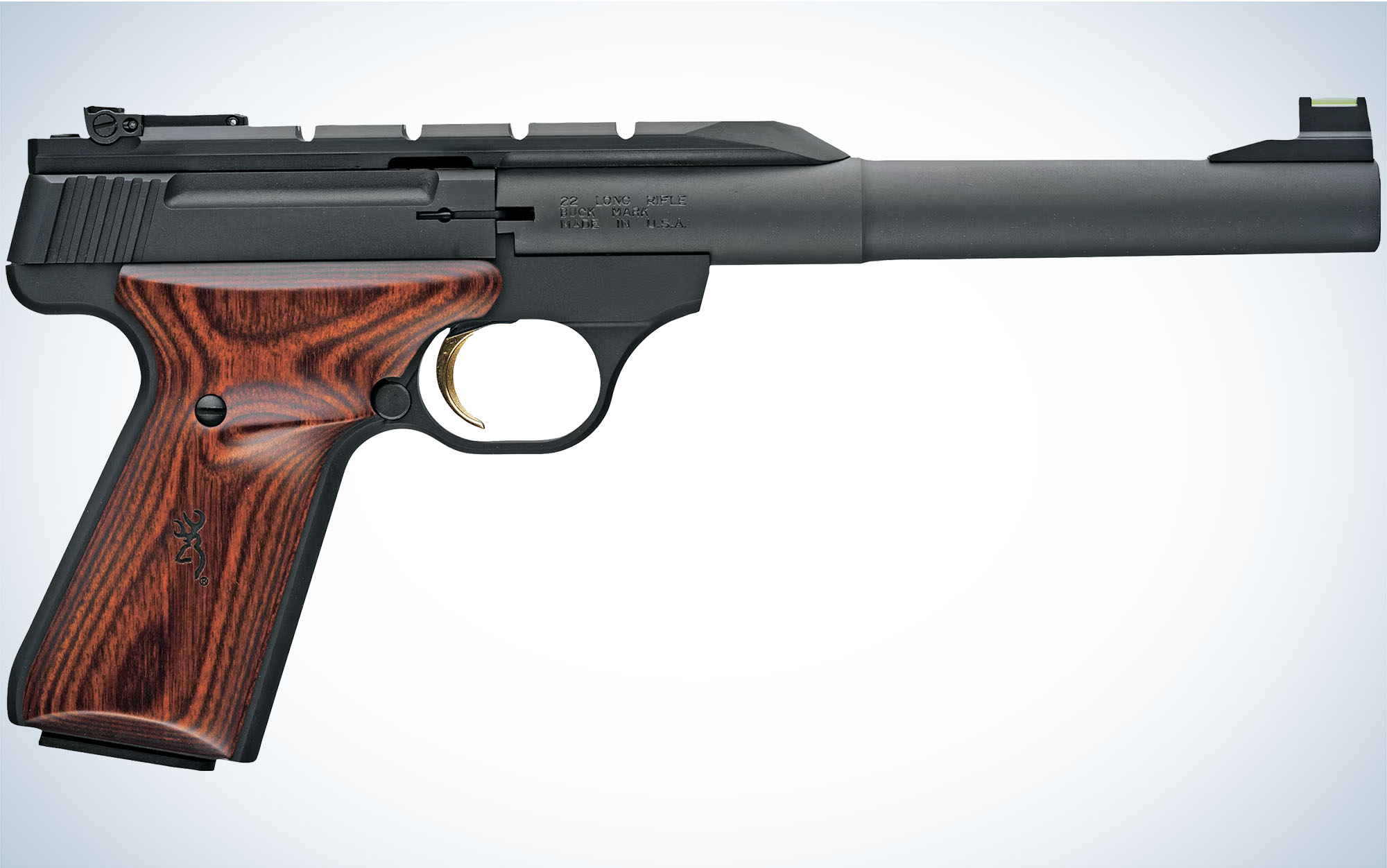 Best .22 Pistols, Reviewed | Outdoor Life