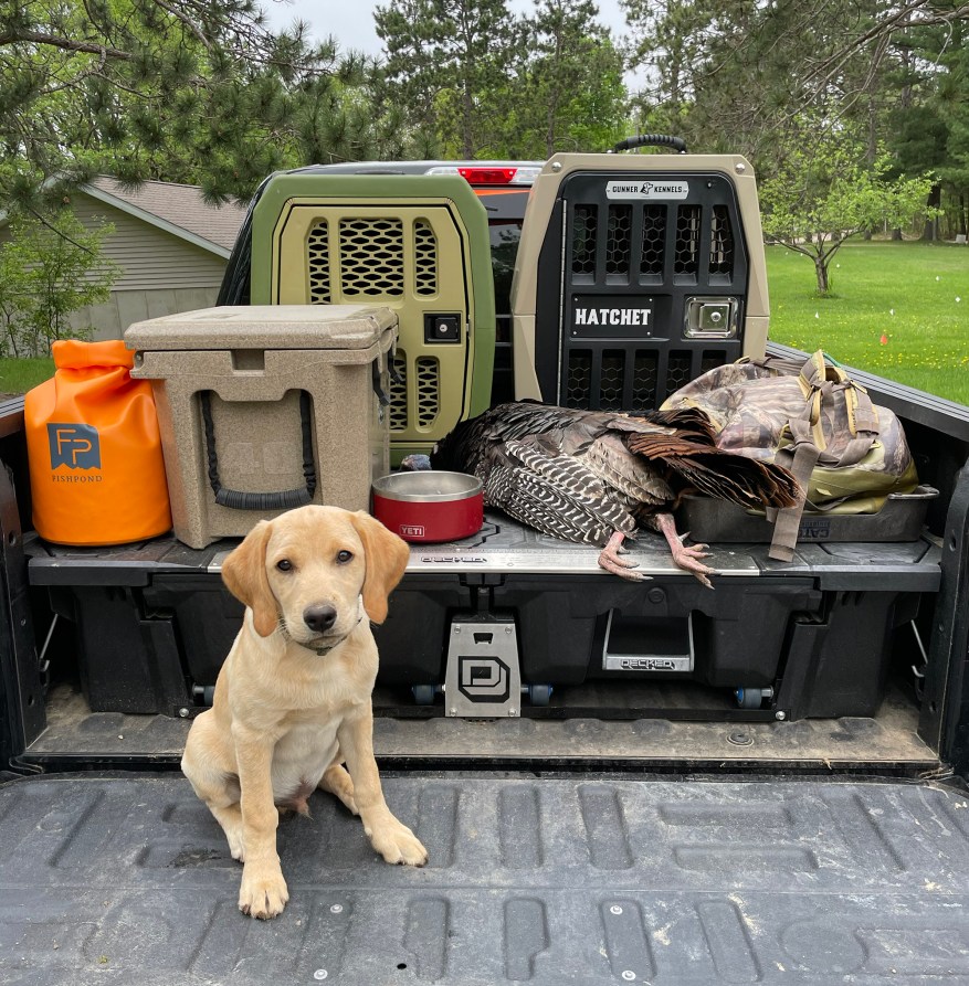 The Best Hunting Dog Names | Outdoor Life