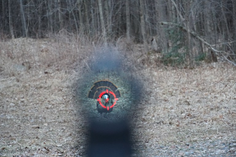 Best Red Dots for Turkey Hunting | Outdoor Life