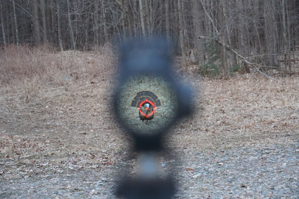 Best Red Dots for Turkey Hunting | Outdoor Life