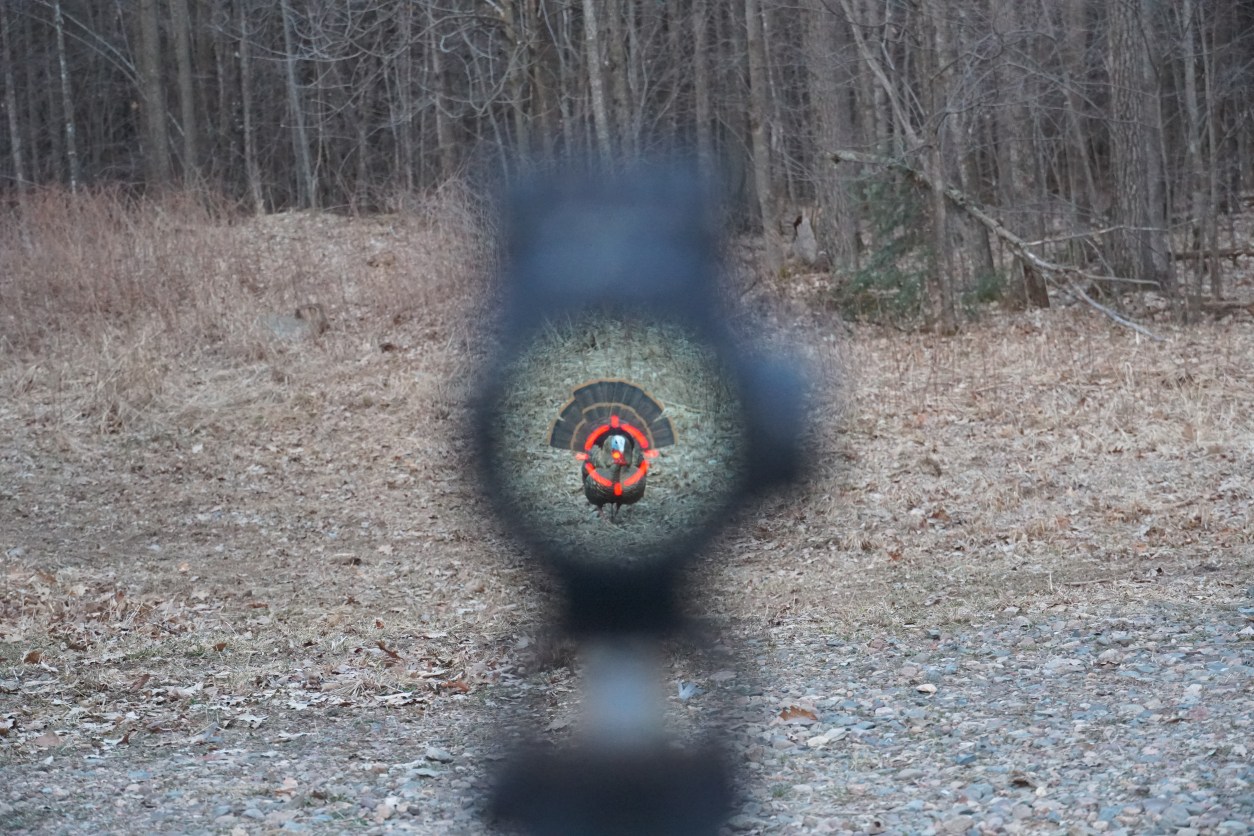 Best Red Dots for Turkey Hunting | Outdoor Life