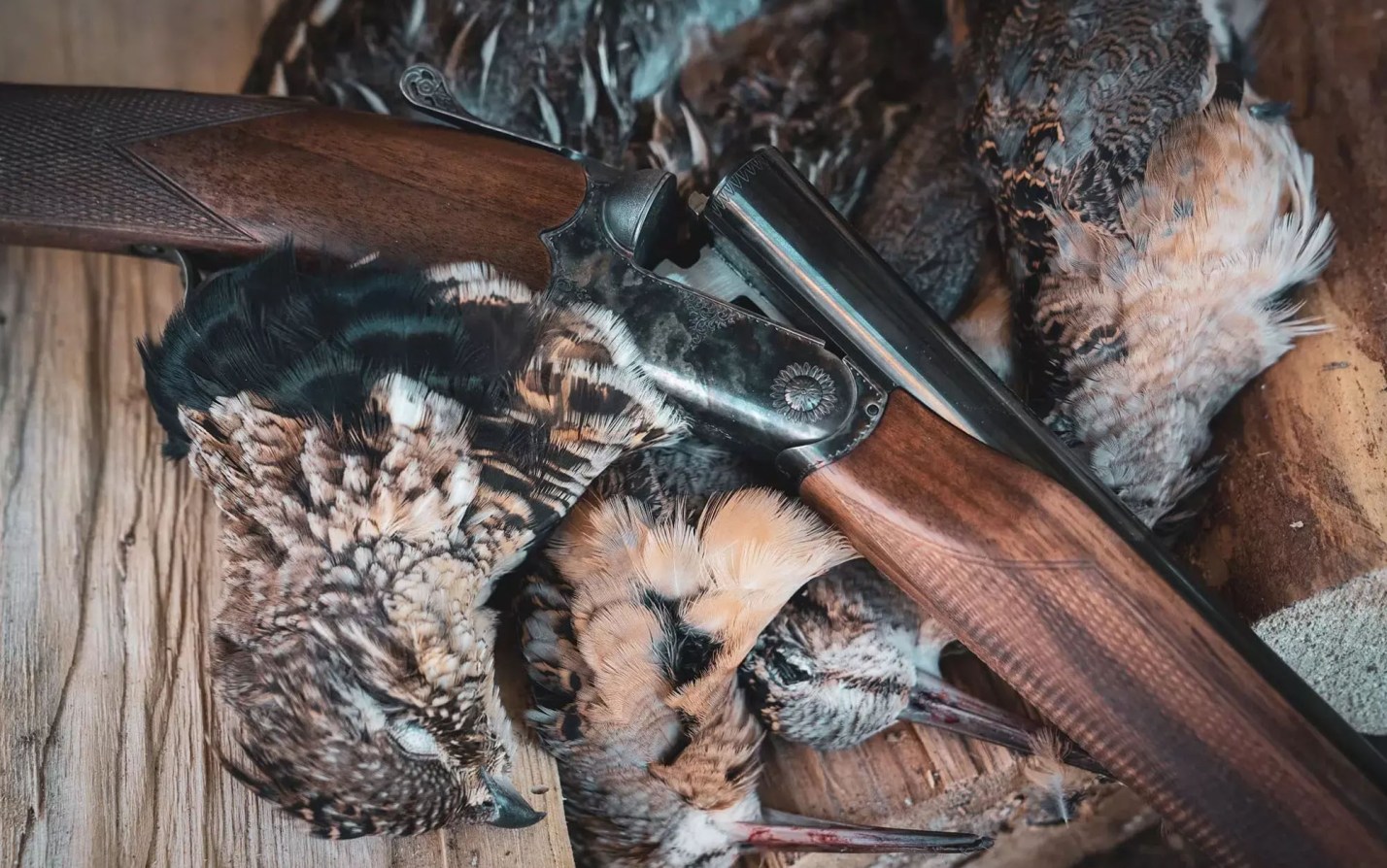 Best 20 Gauge Shotguns, Tested and Reviewed | Outdoor Life