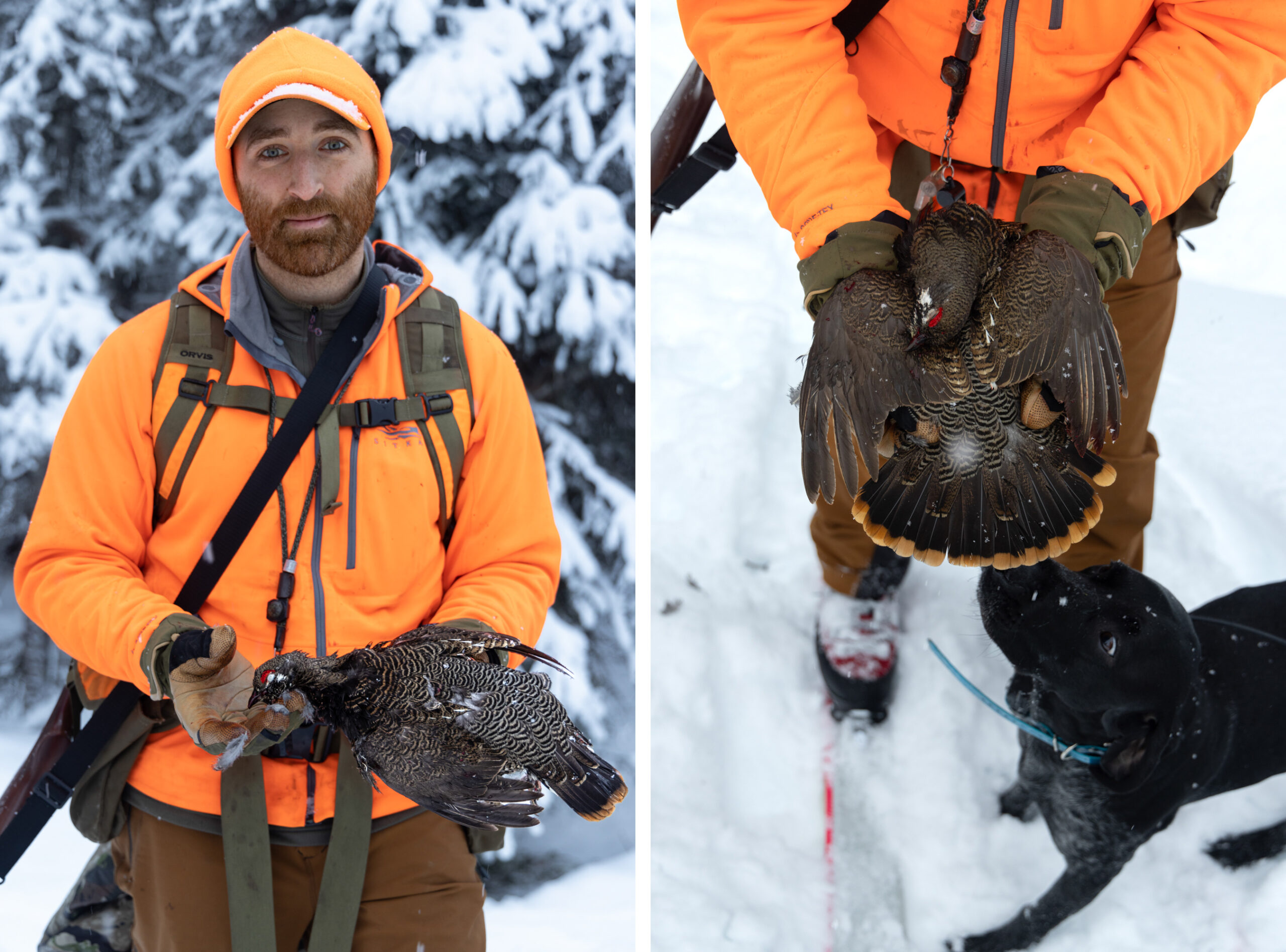 Photos of the Renegade Bird Hunters Who Ski the Backcountry | Outdoor Life