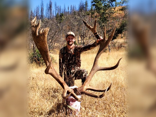 Bowhunter with 86 Bulls to His Credit Tags a Pending World-Record Elk ...