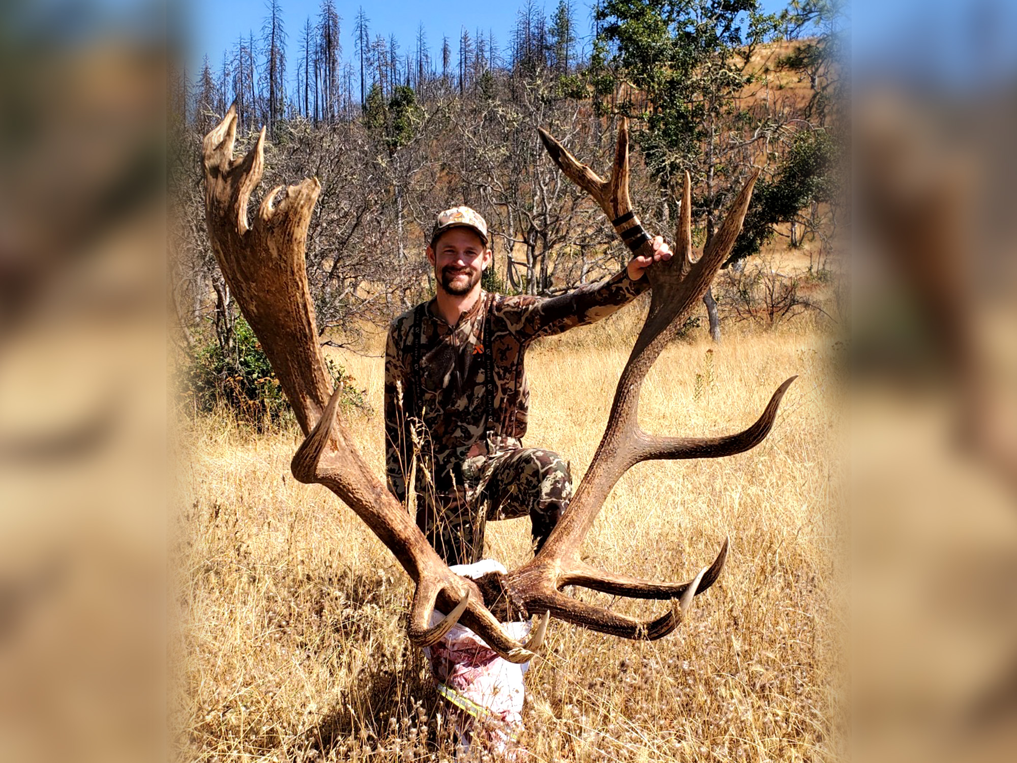Oregon Bowhunter Arrows State-Record Roosevelt Bull | Outdoor Life
