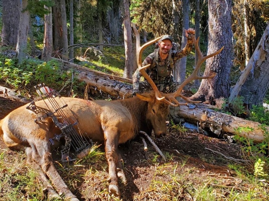 Oregon Bowhunter Arrows State-Record Roosevelt Bull | Outdoor Life