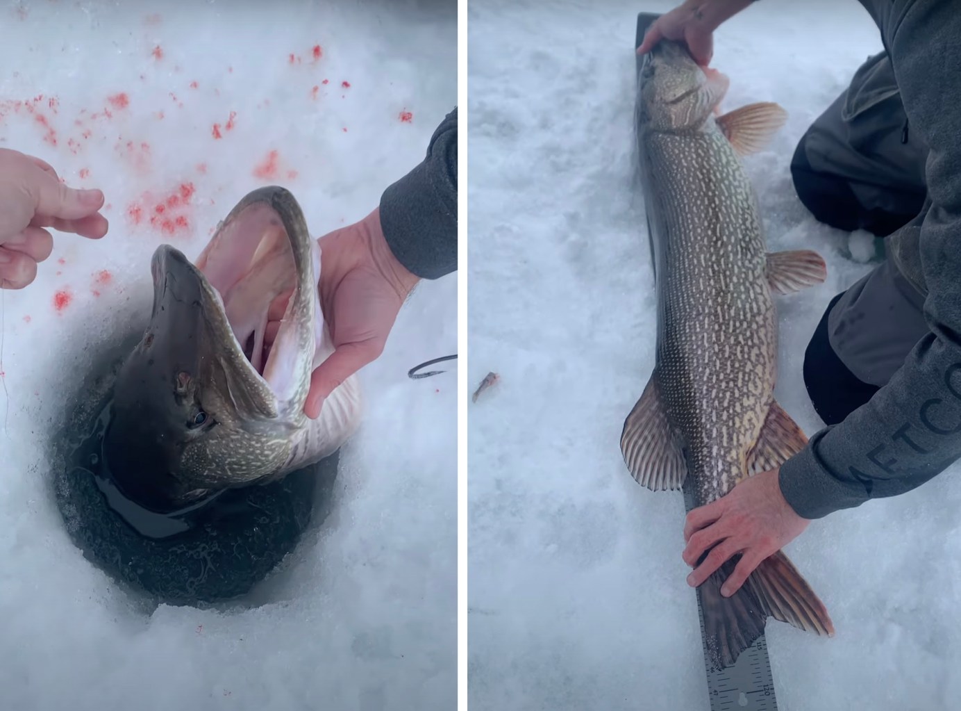 Ice Fisherman Ties Minnesota State-Record Pike | Outdoor Life
