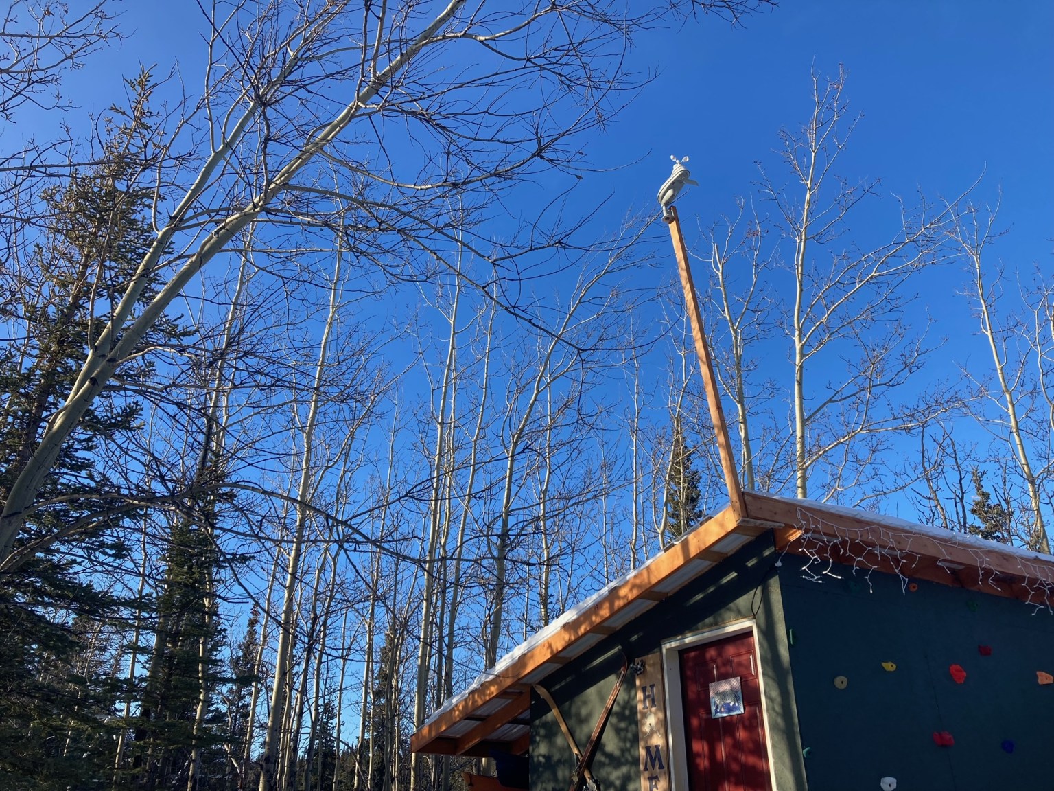 Best Home Weather Stations of 2025, Tested and Reviewed