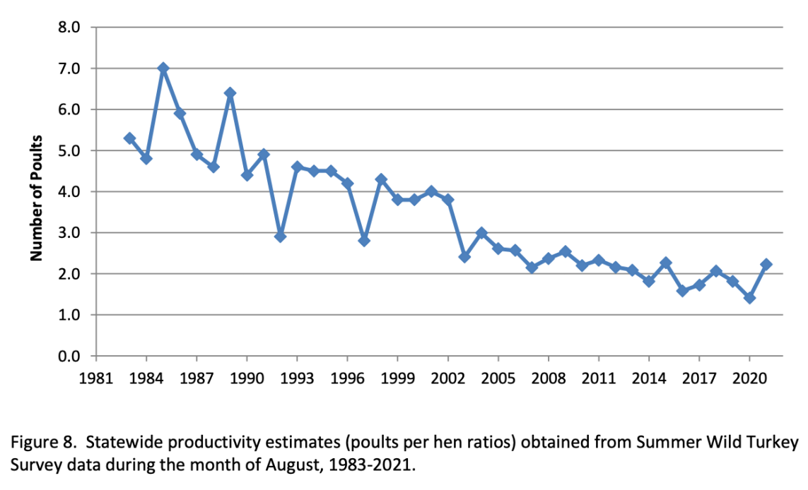 The Turkey Population Decline: Why Are Turkeys in Trouble? | Outdoor Life