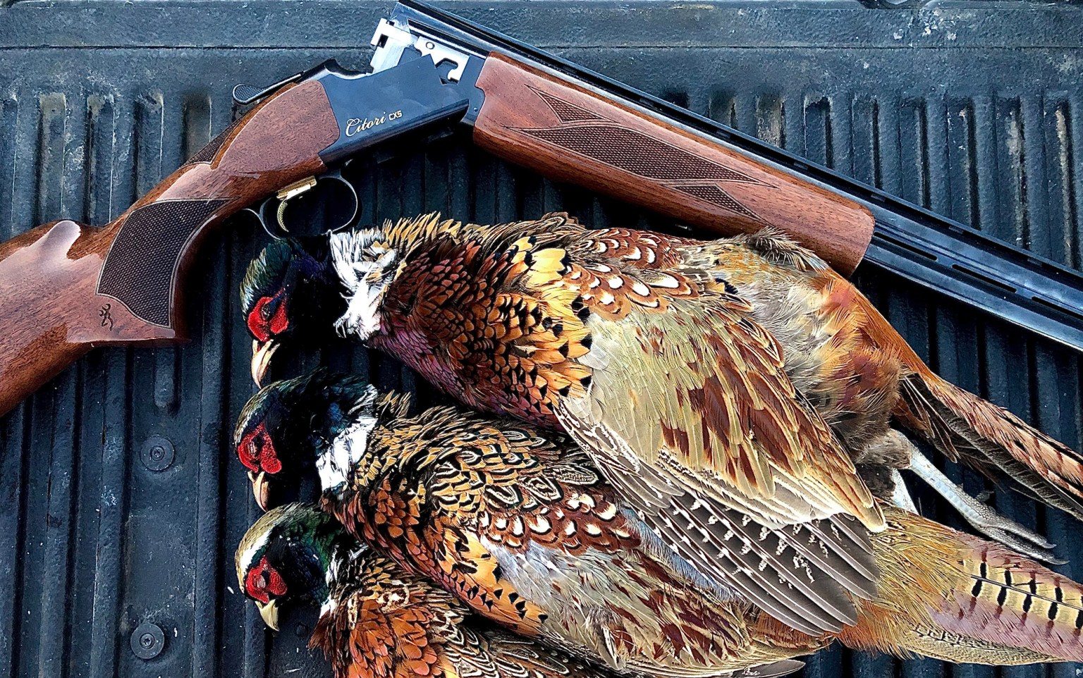 Old-School Tips on How to Hunt Pheasants Alone | Outdoor Life