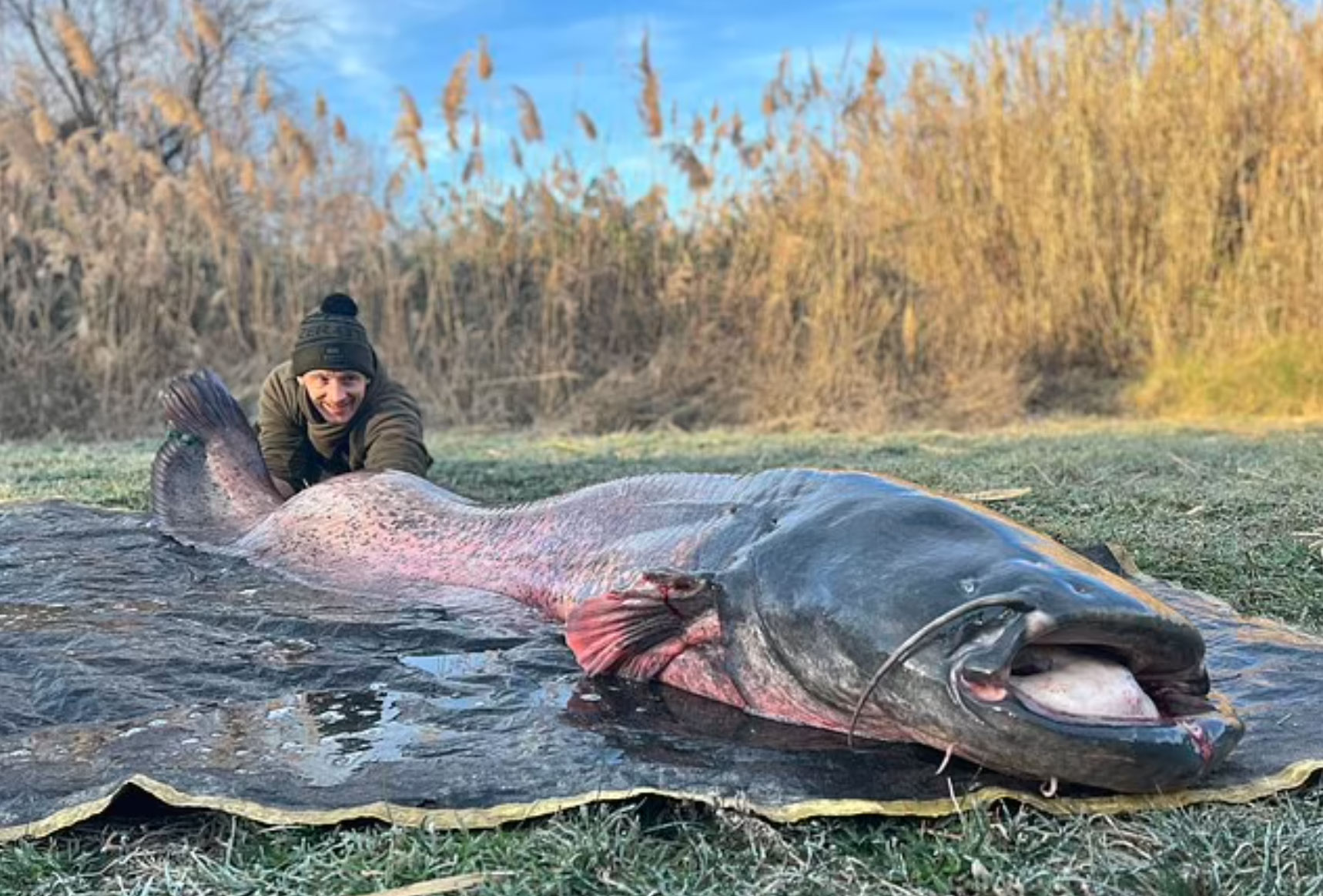 Giant Wels Catfish Tows Angler Down River Ebro | Outdoor Life