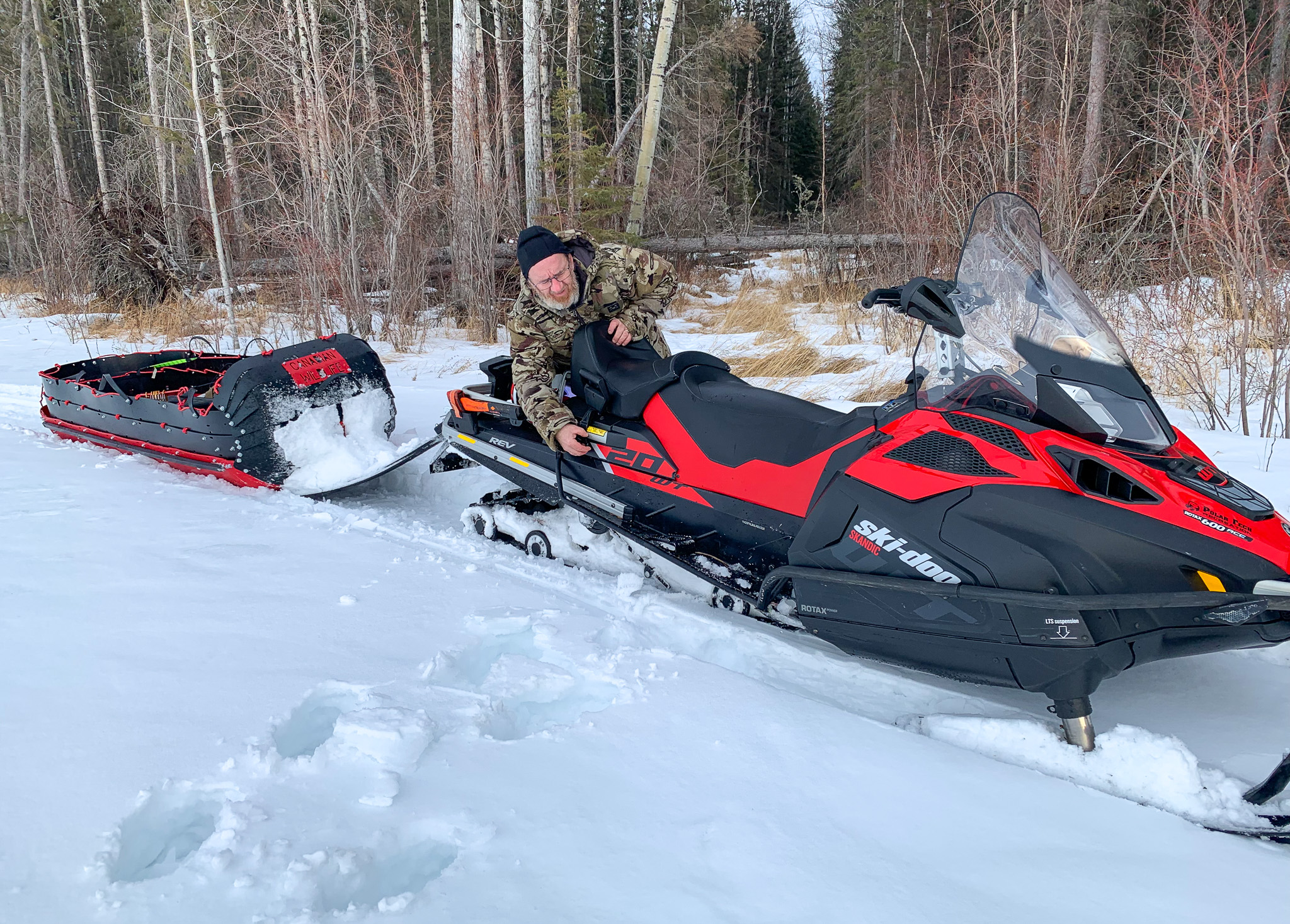 The Truth About Wolf Hunting in North America | Outdoor Life