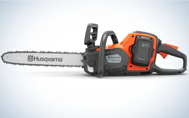 The 8 Best Electric Chainsaws of 2024, Tested and Reviewed
