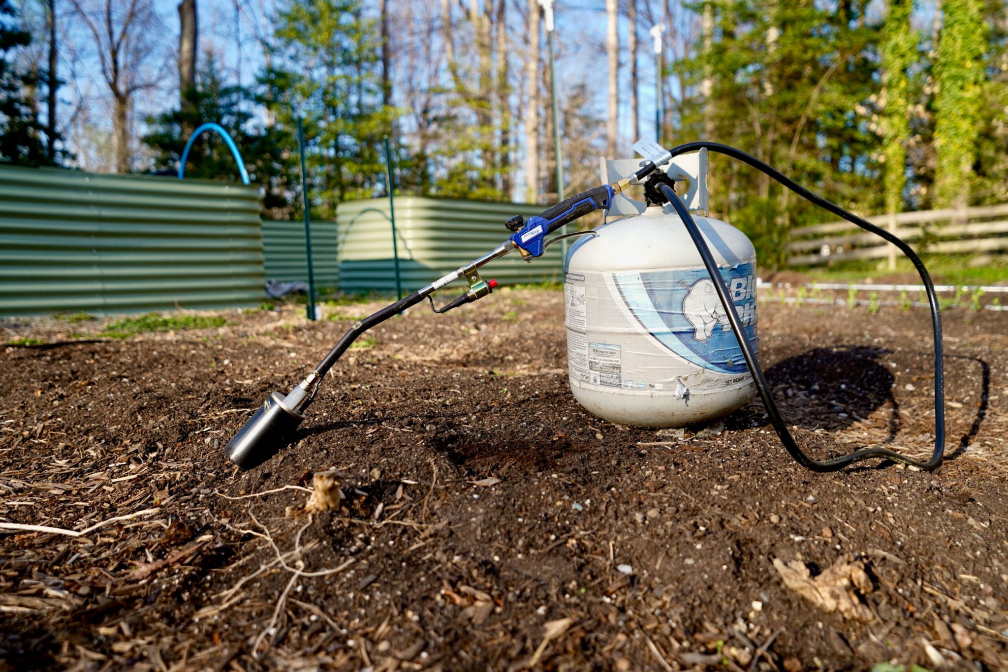 The Best Weed Torches of 2025, Tested and Reviewed