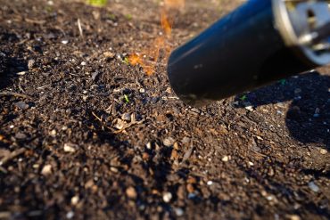 The Best Weed Torches of 2025, Tested and Reviewed