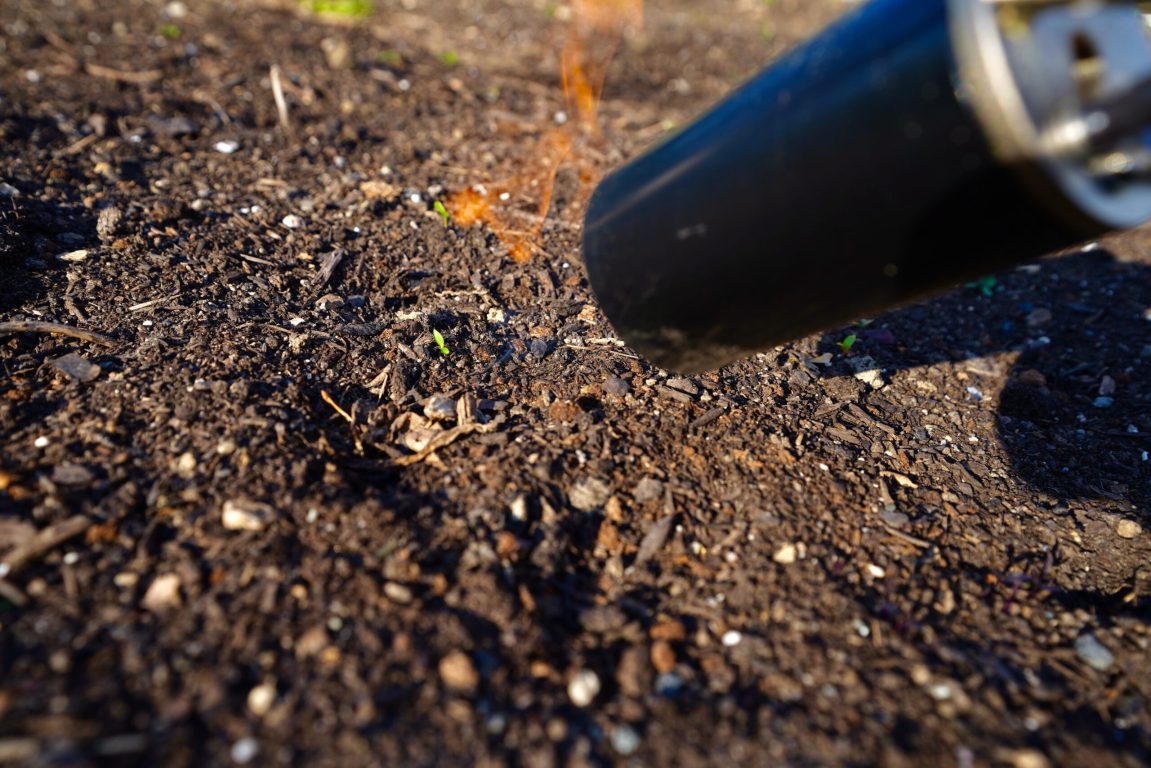 The Best Weed Torches of 2026, Tested and Reviewed