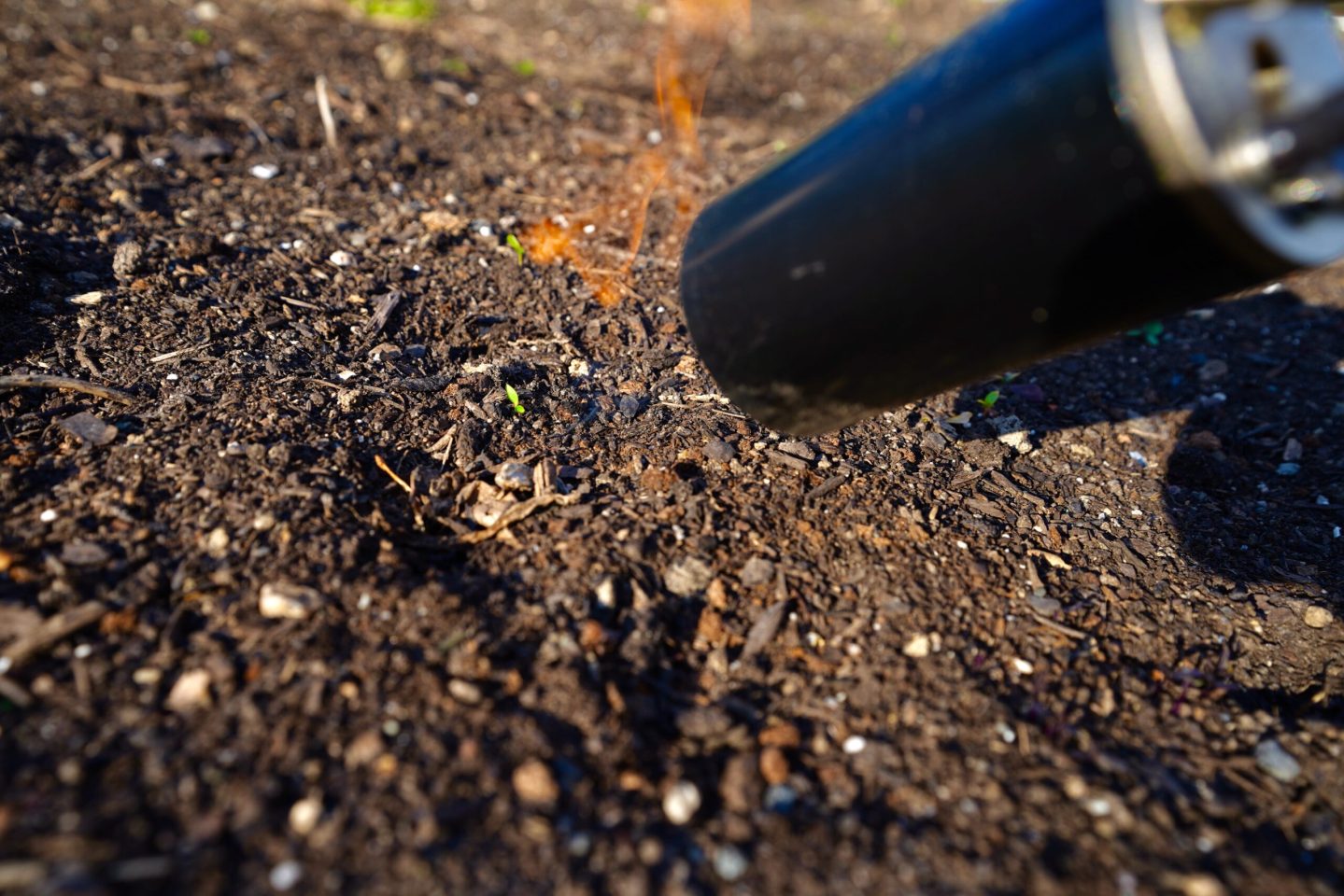 The Best Weed Torches of 2025, Tested and Reviewed