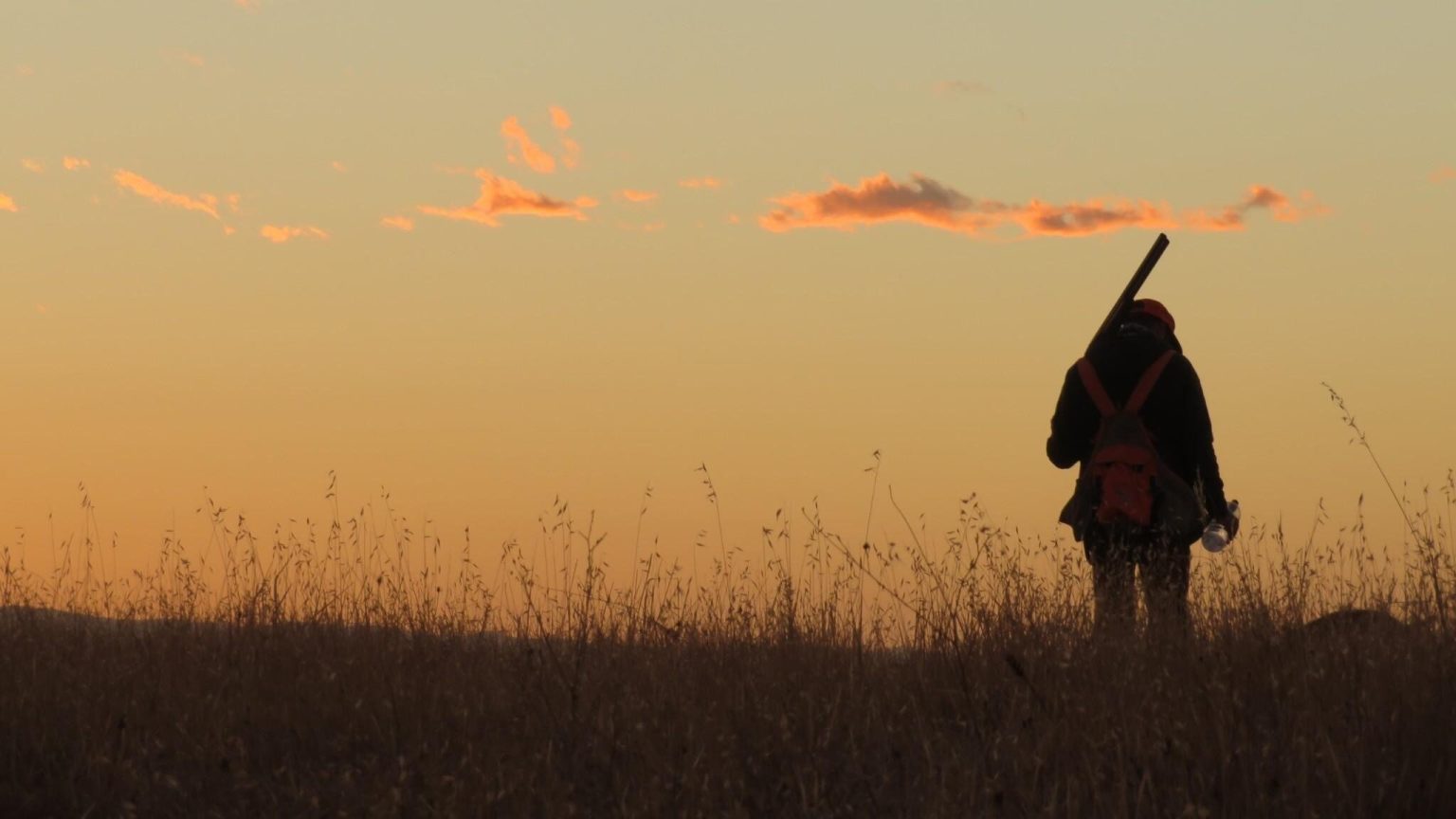 The BLM Wants to Make Conservation a Bigger Land Use Priority | Outdoor ...