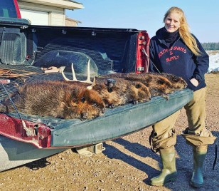 Beaver Trapping: How to Get Started | Outdoor Life