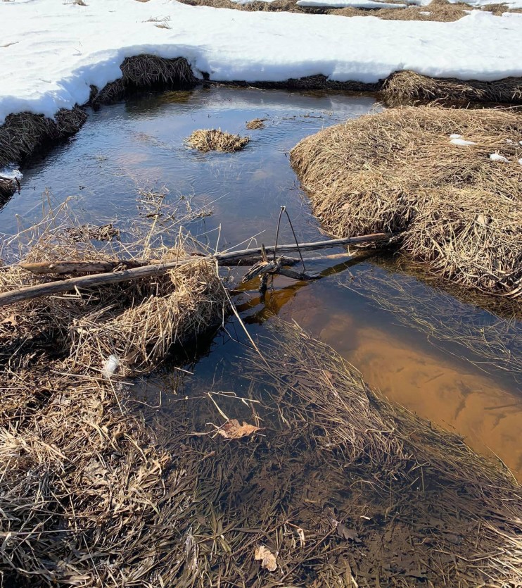 Beaver Trapping: How to Get Started | Outdoor Life