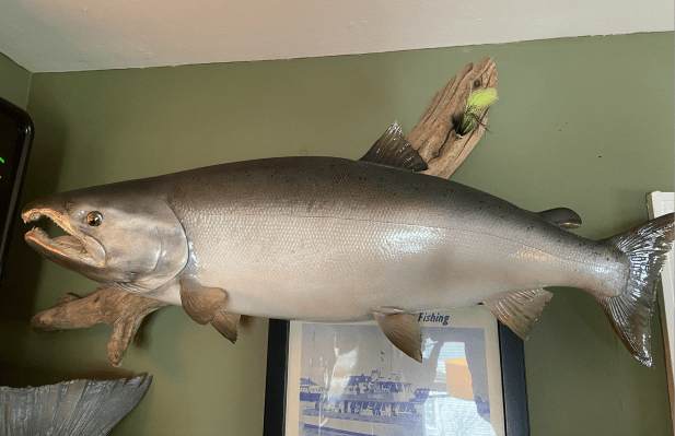 Fish Taxidermy: The 5 Best Ways to Mount Your Catch | Outdoor Life