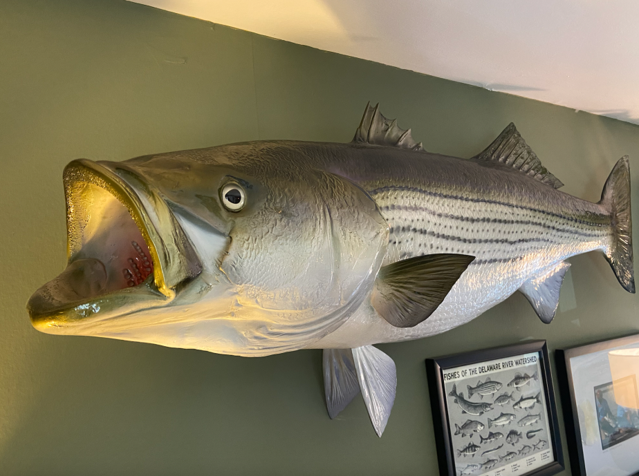 Fish Taxidermy: The 5 Best Ways to Mount Your Catch | Outdoor Life