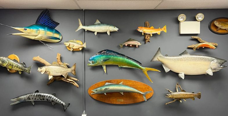 Fish Taxidermy: The 5 Best Ways to Mount Your Catch | Outdoor Life