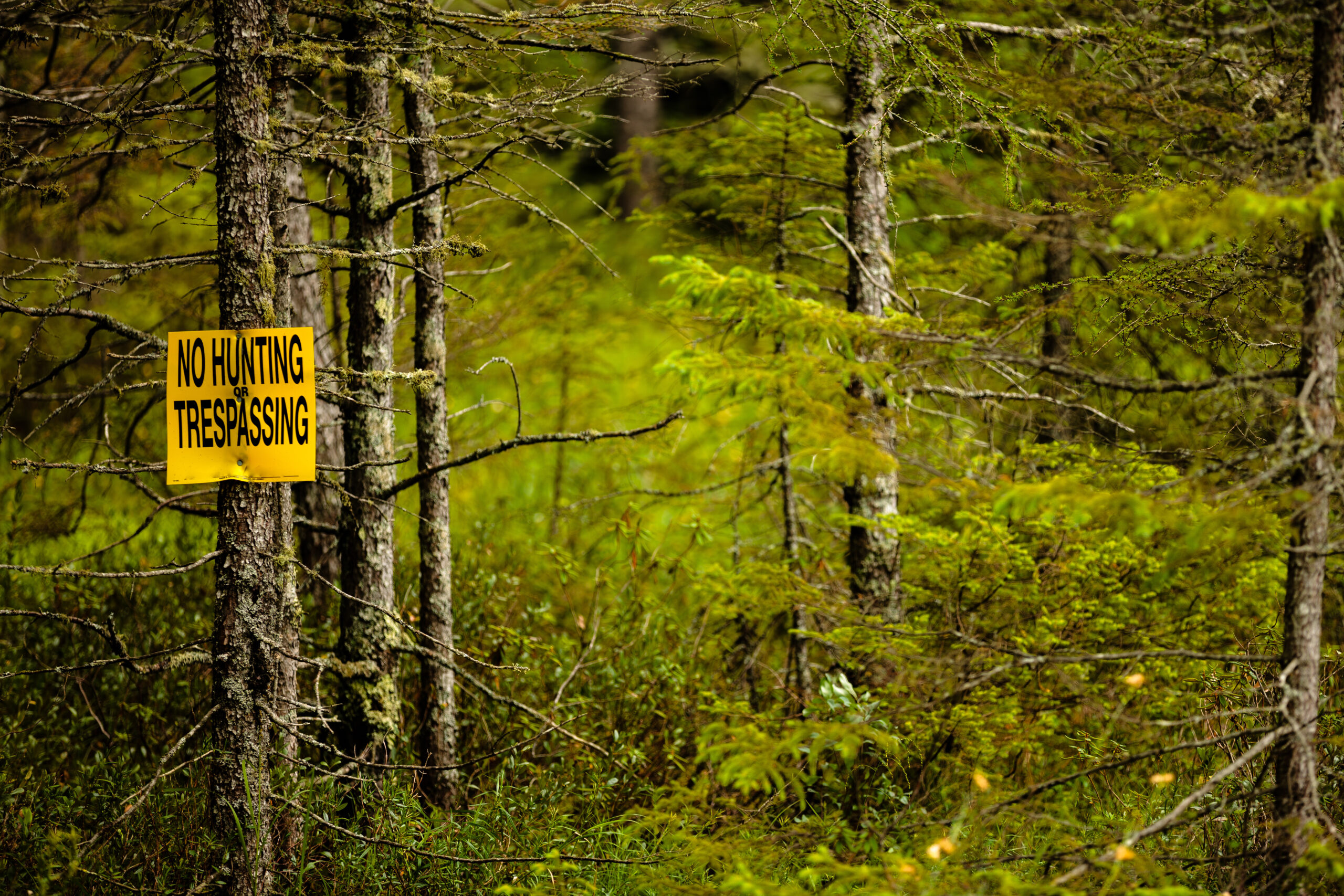 7 Sneaky Ways Landowners Block Access to Public Lands | Outdoor Life