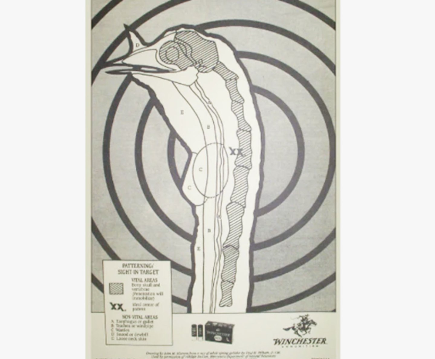 The Most In-Depth Turkey Load Lethality Test of All Time | Outdoor Life