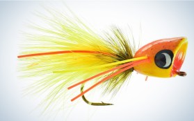 The Best Bass Flies | Outdoor Life