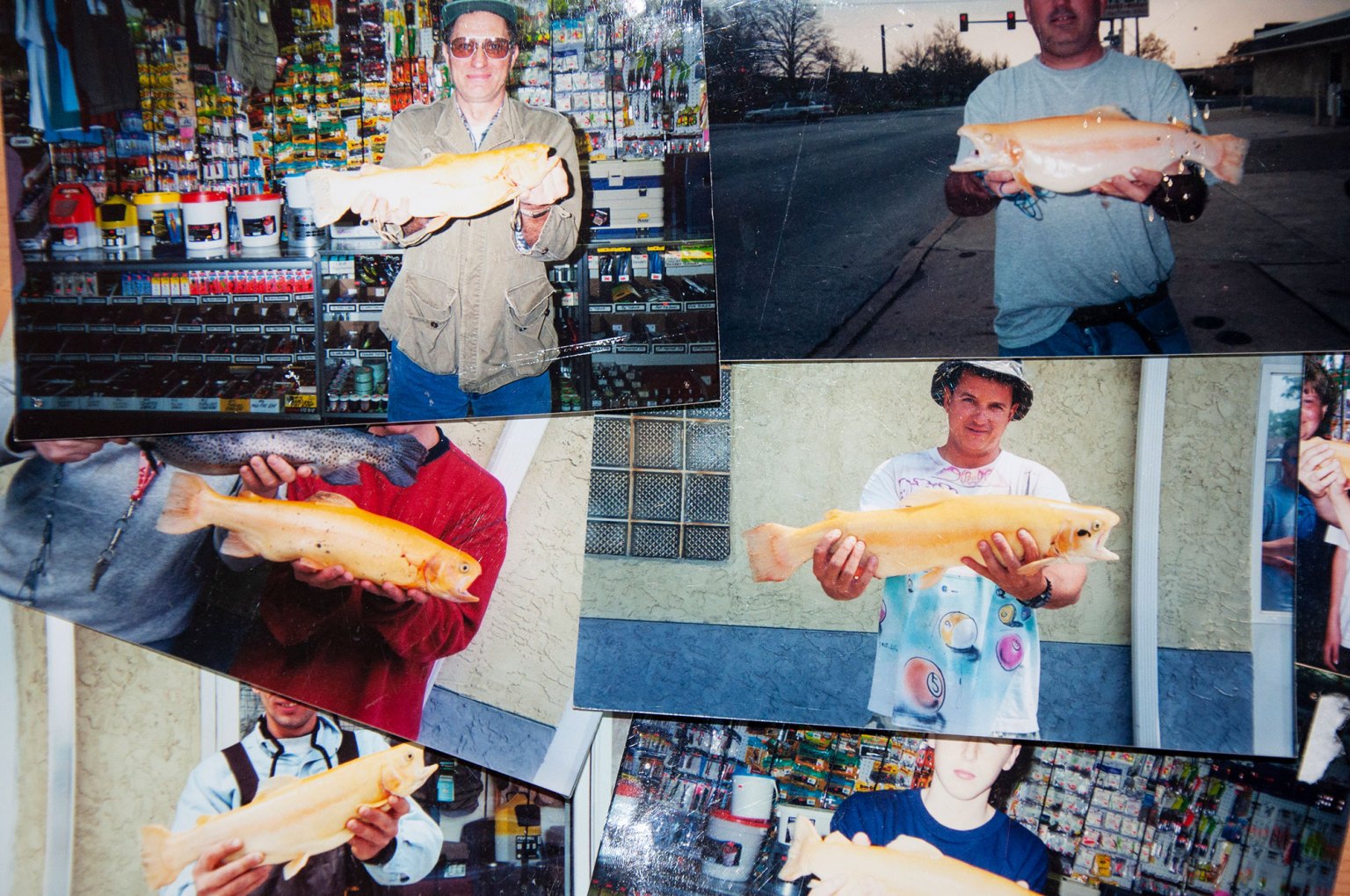 Palomino Trout: Where (and How) to Catch Them | Outdoor Life